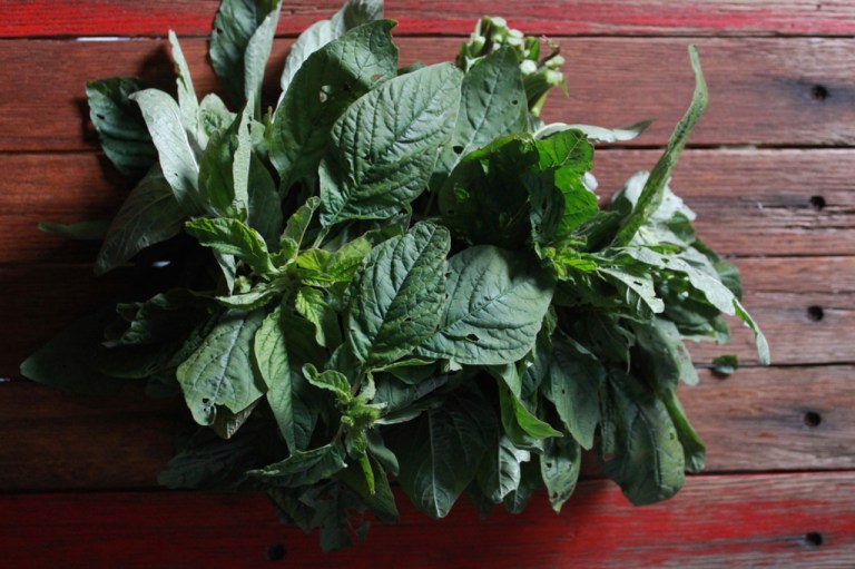 Callaloo and Cheddar Quiche | hungry sofia